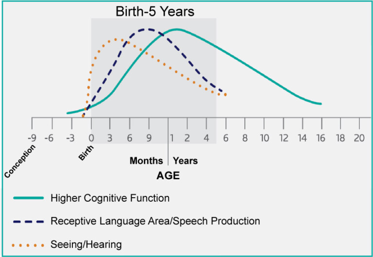Spark Home - Oregon Spark